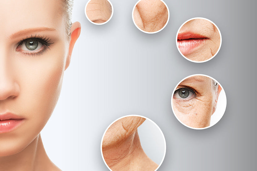 Revitol Anti Aging Collogen and Peptide Formula – HealthBuy